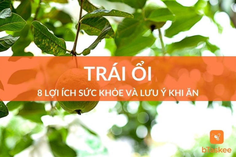 Trái Ổi: 8 Lợi Ích Trong Sức Khỏe Và Lưu Ý Khi Ăn Ổi – bTaskee
