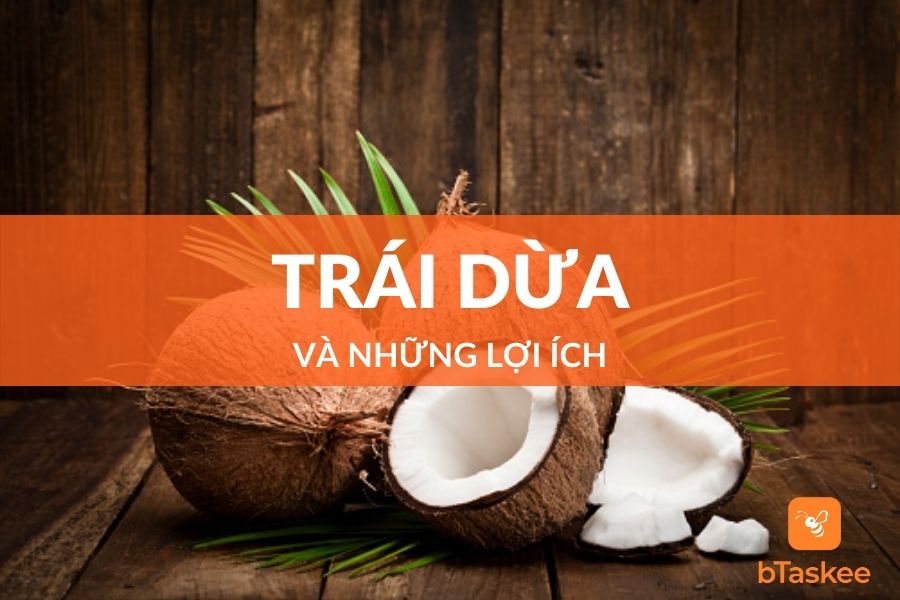 Trái Dừa Và Những Lợi Ích Trong Đời Sống – bTaskee