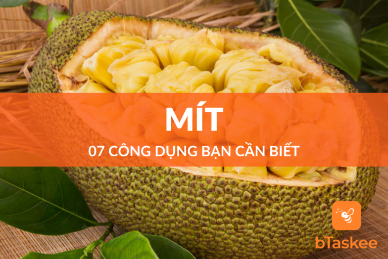 Quả Mít Và 7 Công Dụng Tốt Cho Sức Khỏe Bạn Cần Biết – bTaskee