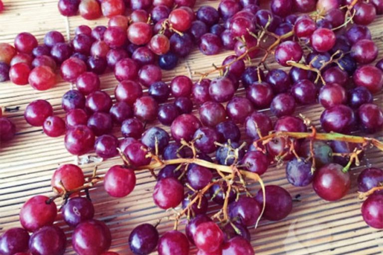 Cách Làm Mứt Nho Dẻo Ngọt Đãi Khách Trong Ngày Tết – bTaskee