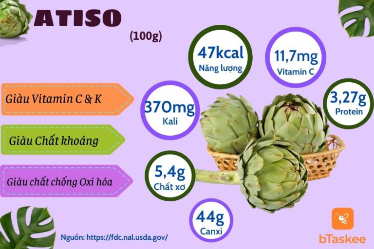 Cây Atiso: Công Dụng Và Những Lưu Ý Khi Dùng – bTaskee