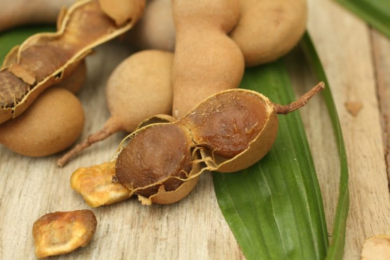 Quả Me: Thành Phần Dinh Dưỡng, Tác Dụng Và Những Lưu Ý – bTaskee
