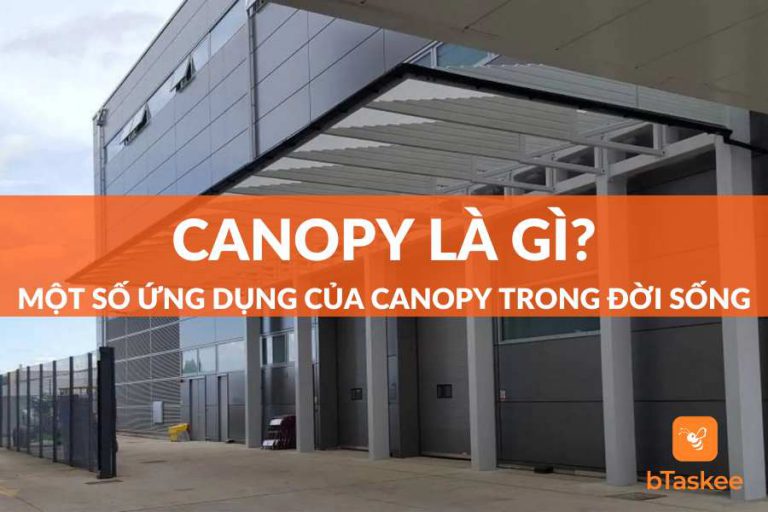 Canopy Là Gì? Một Số Ứng Dụng Của Canopy Trong Đời Sống – bTaskee
