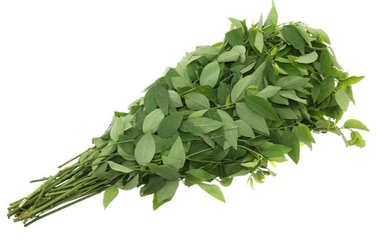 Ăn Rau Gì Giảm Cân? 13 Loại Rau Giúp Giảm Cân Thần Tốc – bTaskee