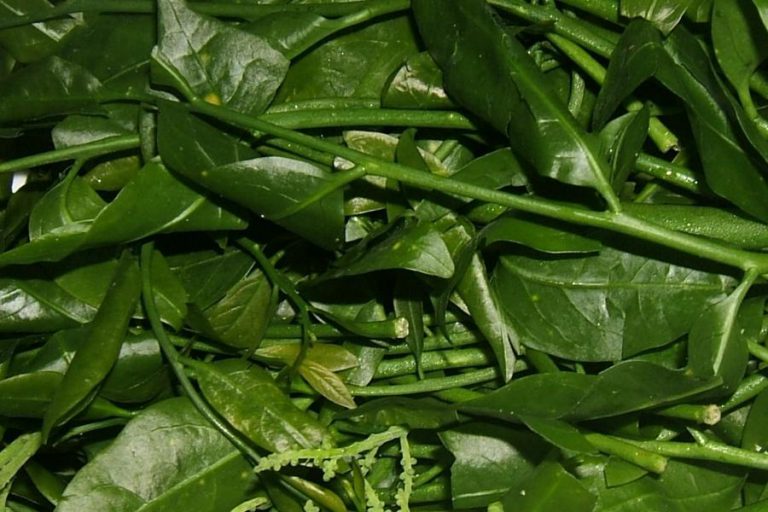 Ăn Rau Gì Giảm Cân? 13 Loại Rau Giúp Giảm Cân Thần Tốc – bTaskee