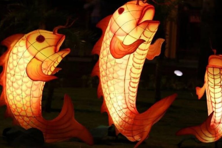 Cách Làm Đèn Trung Thu Hình Con Cá Đơn Giản Cho Bé – bTaskee