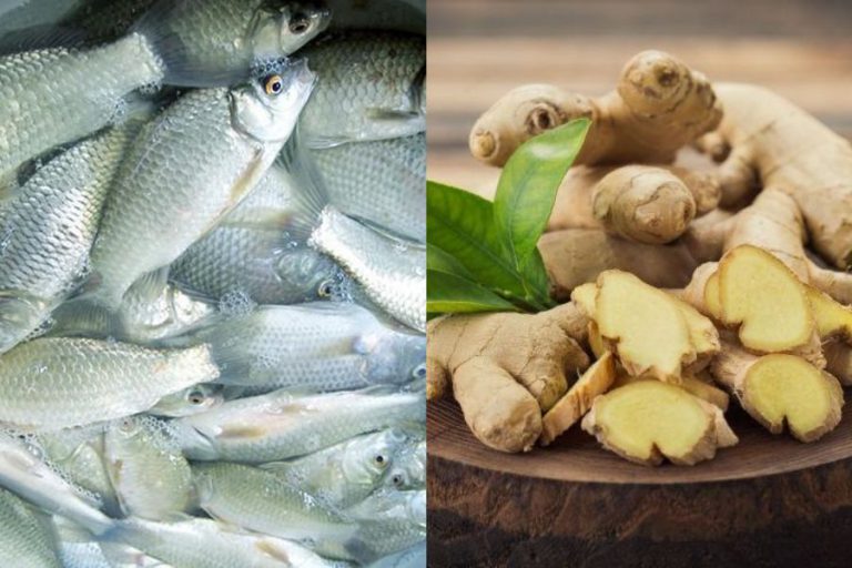 Cá Diếc Nấu Gì Ngon? 7 Món Ăn Vừa Nghe Tên Đã Thèm – bTaskee