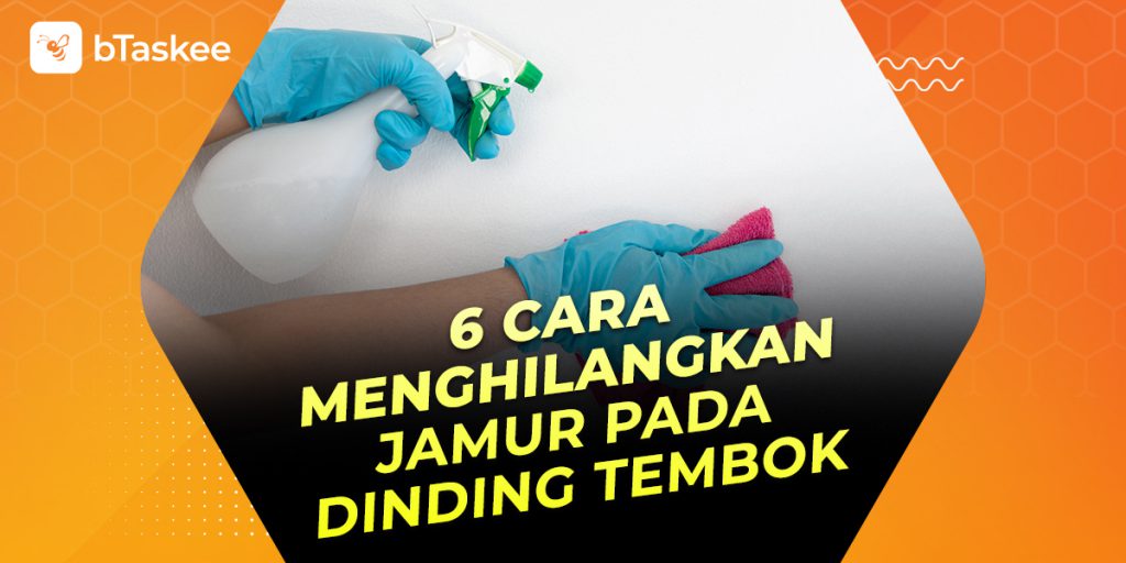 Cara Menghilangkan Jamur pada Dinding Tembok Mudah – bTaskee