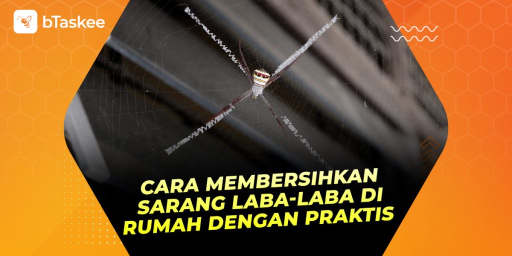Cara Membersihkan Sarang Laba-Laba dengan Mudah – bTaskee