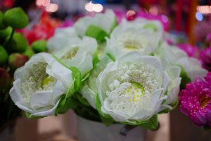 Hoa Sen: Đặc Điểm, Ý Nghĩa Và Cách Chăm Sóc Hoa Sen Đẹp – bTaskee