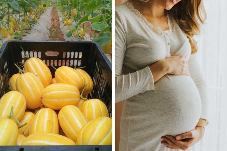 Dưa Gang: Đặc Điểm, Tác Dụng Và Cách Chọn Mua Dưa Ngon – bTaskee