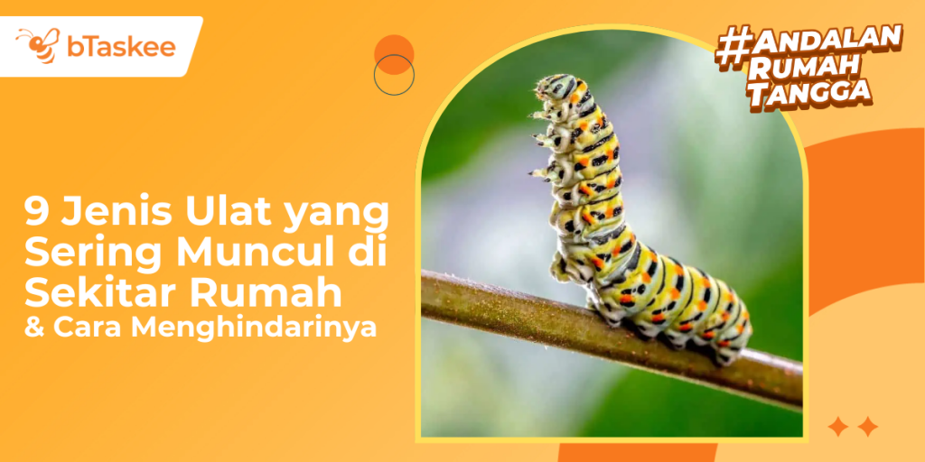9 Jenis Ulat yang Sering Muncul di Sekitar Rumah & Cara Menghindarinya